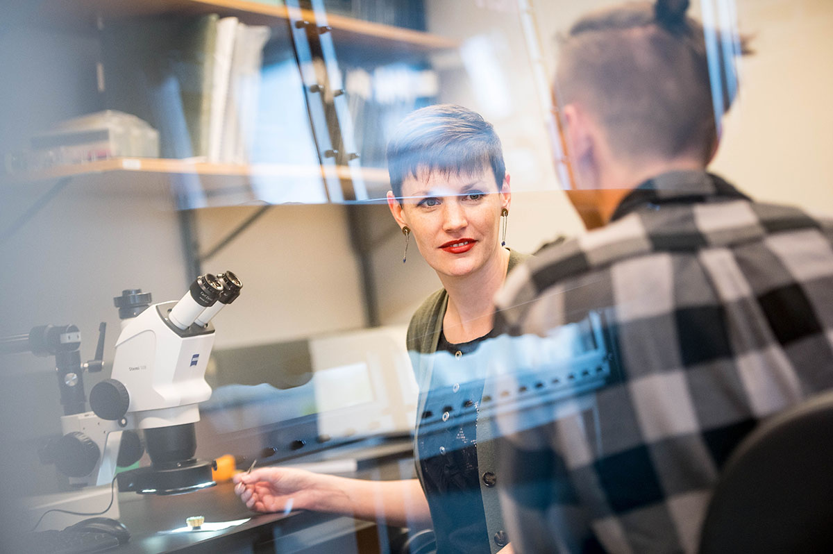 BCKDF funding supports critical quantum materials research at UBC ...